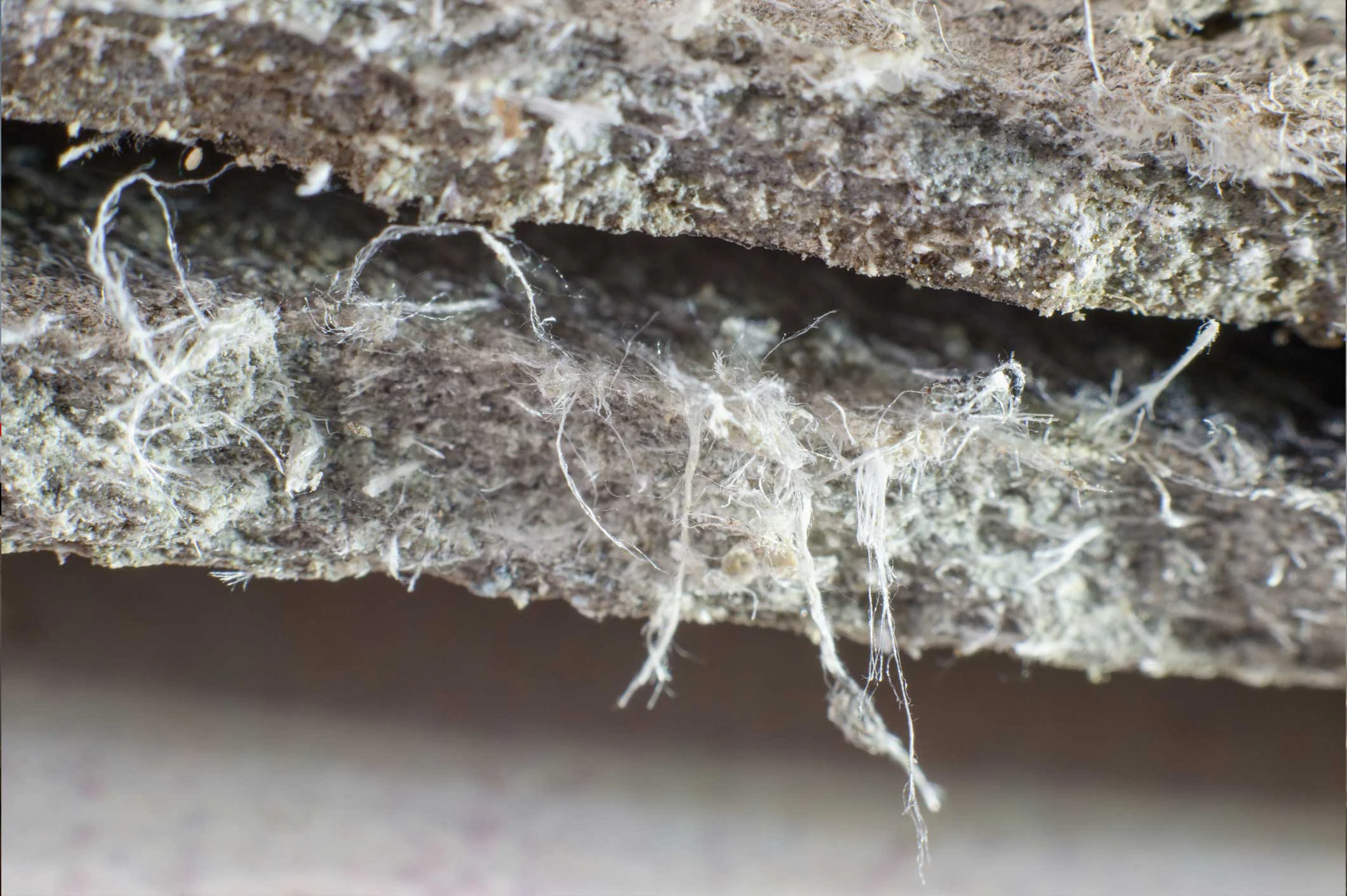 The symptoms to look out for if you’ve been exposed to asbestos - Ryno's